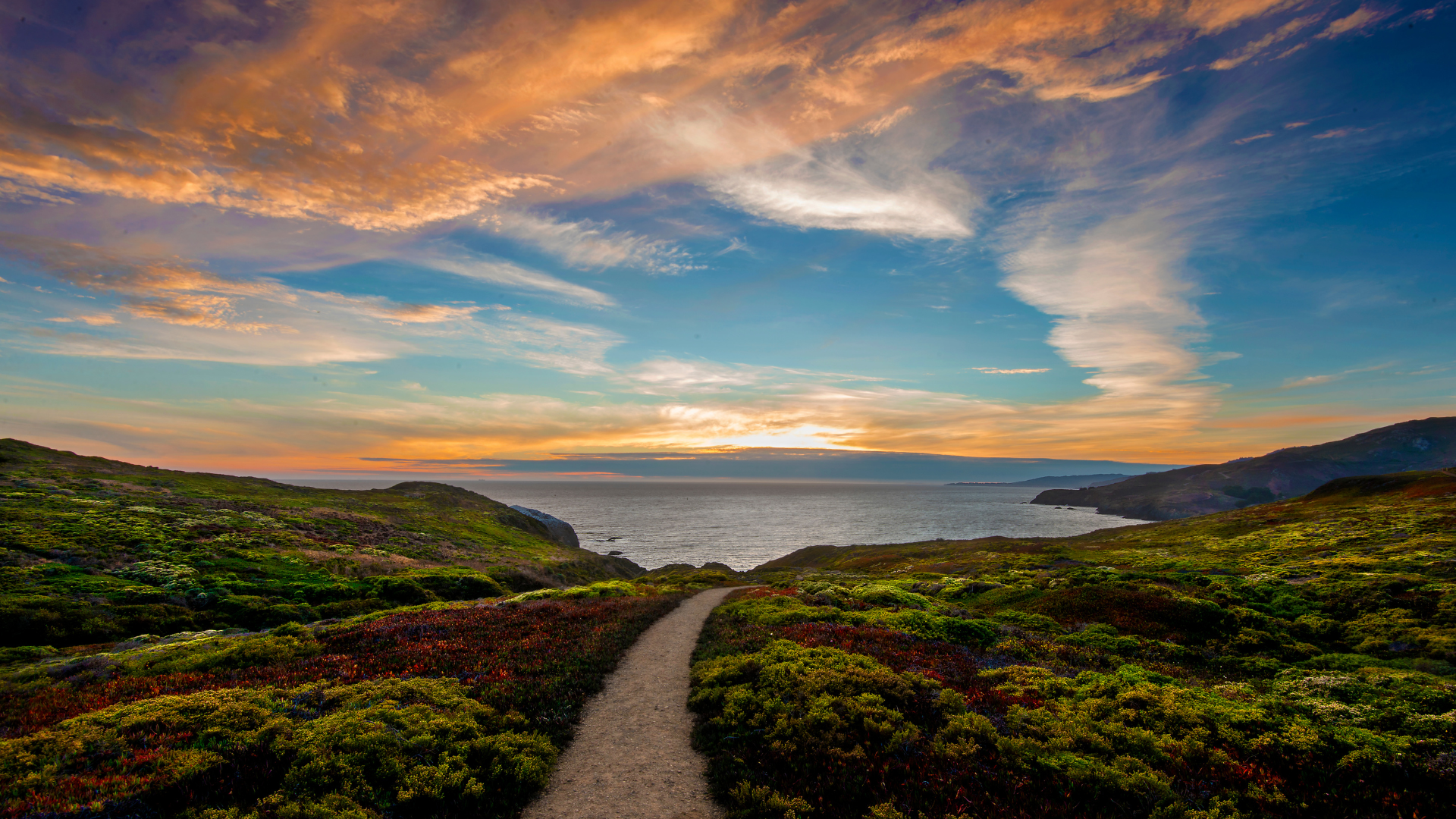 Pioneering supporting lawyer - Shared Parenting Scotland